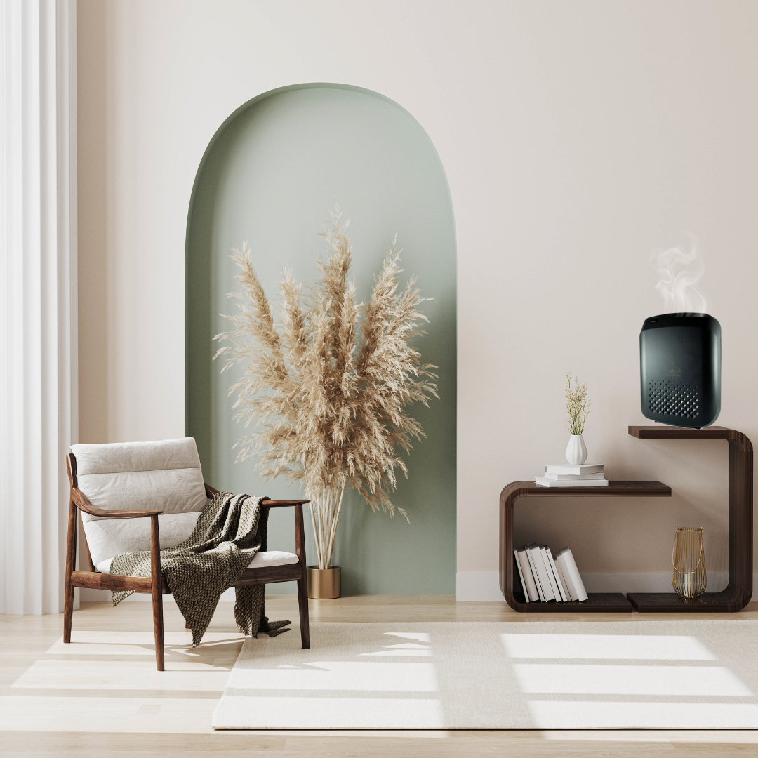 Zen 2000 Diffuser – ZenMeInbeauty